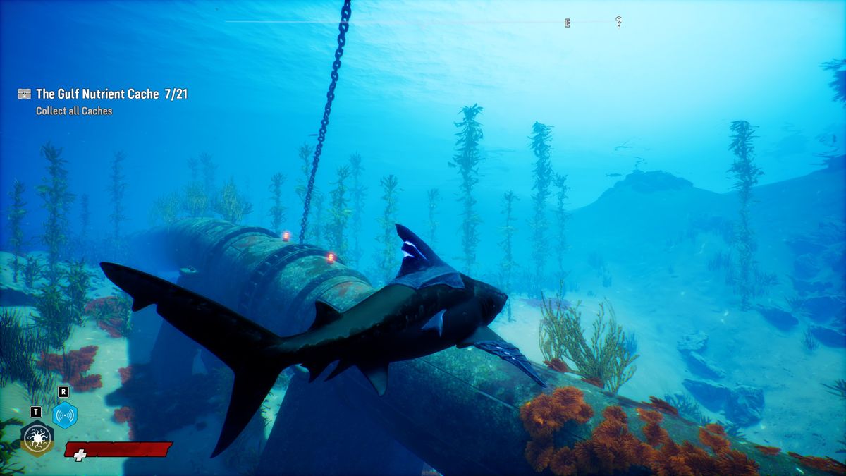 Screenshot of Maneater (Windows, 2020) - MobyGames