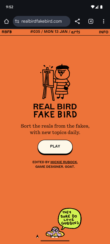 Real Bird, Fake Bird (2024) - MobyGames