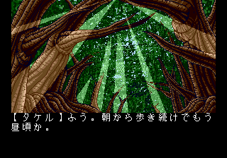 Screenshot of Dragon Knight II (TurboGrafx CD, 1990) - MobyGames