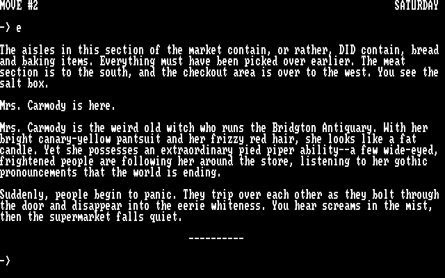 Screenshot of The Mist (DOS, 1985) - MobyGames