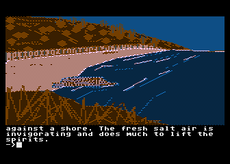 Screenshot of The Quest (Atari 8-bit, 1983) - MobyGames