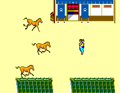 Screenshot of The Ninja (SEGA Master System, 1986) - MobyGames