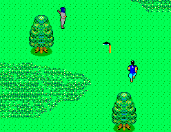 Screenshot of The Ninja (SEGA Master System, 1986) - MobyGames
