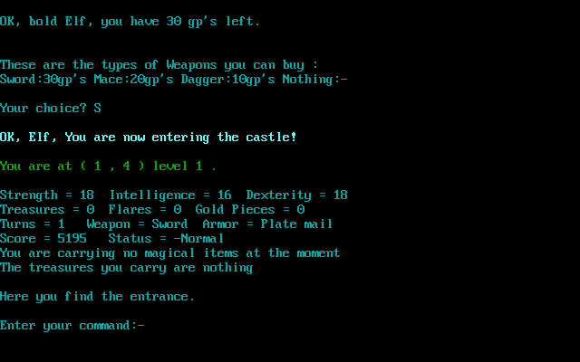 Screenshot of The Wizard's Castle (DOS, 1979) - MobyGames