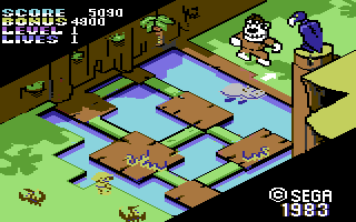 Screenshot of Congo Bongo (Commodore 64, 1983) - MobyGames