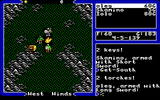 Screenshot of Ultima V: Warriors of Destiny (DOS, 1988) - MobyGames