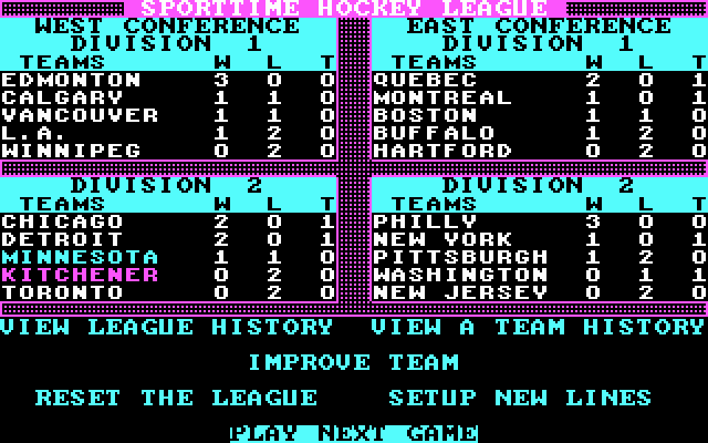 Screenshot of Superstar Ice Hockey (DOS, 1987) - MobyGames