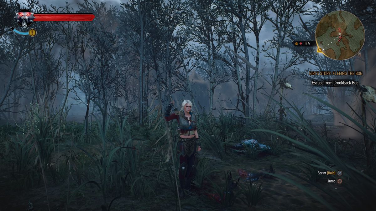 The Witcher 3: Wild Hunt - Alternative Look for Ciri screenshots ...