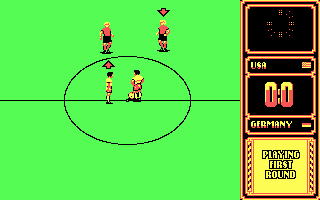 Screenshot of Rick Davis's World Trophy Soccer (DOS, 1989) - MobyGames