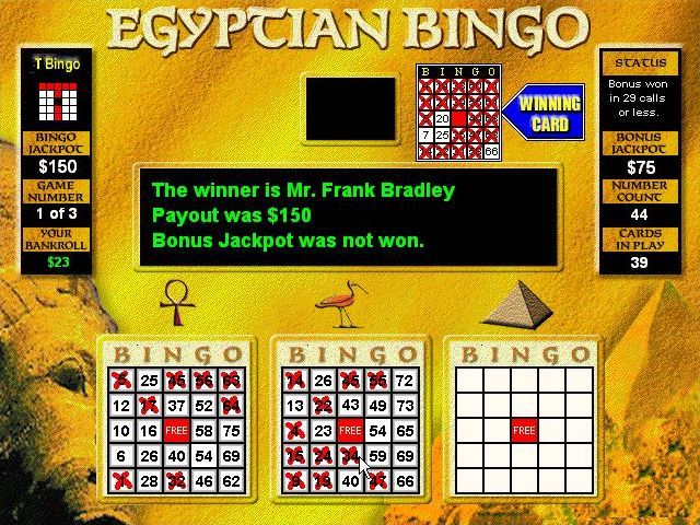 Screenshot of Bingo Master (Windows, 1999) - MobyGames
