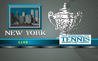 Screenshot of International Tennis Open (DOS, 1992) - MobyGames