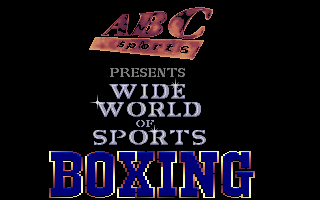 Screenshot of ABC Wide World of Sports Boxing (DOS, 1991) - MobyGames