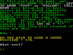 Screenshot of Diarmid (ZX Spectrum, 1993) - MobyGames