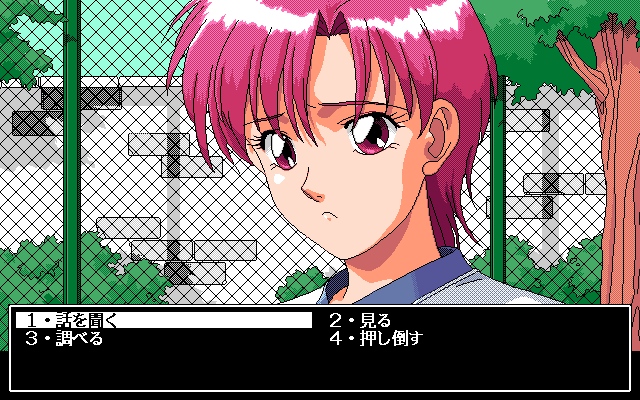 Screenshot of Premium (PC-98, 1992) - MobyGames