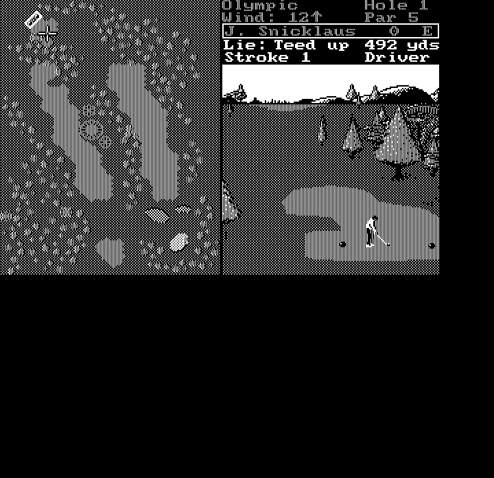 Screenshot of World Tour Golf (DOS, 1985) - MobyGames