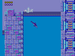Screenshot of Ecco the Dolphin (SEGA Master System, 1992) - MobyGames