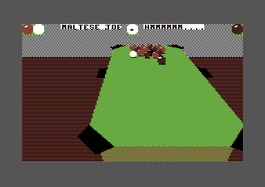 Screenshot of Sharkey's 3D Pool (Commodore 64, 1989) - MobyGames
