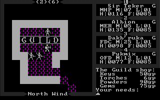 Screenshot of Exodus: Ultima III (DOS, 1983) - MobyGames