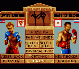 Screenshot of Best of the Best Championship Karate (SNES, 1992) - MobyGames