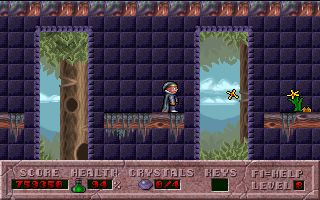 Screenshot of Hocus Pocus (DOS, 1994) - MobyGames