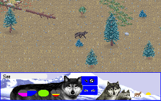 Screenshot of Wolf (DOS, 1994) - MobyGames
