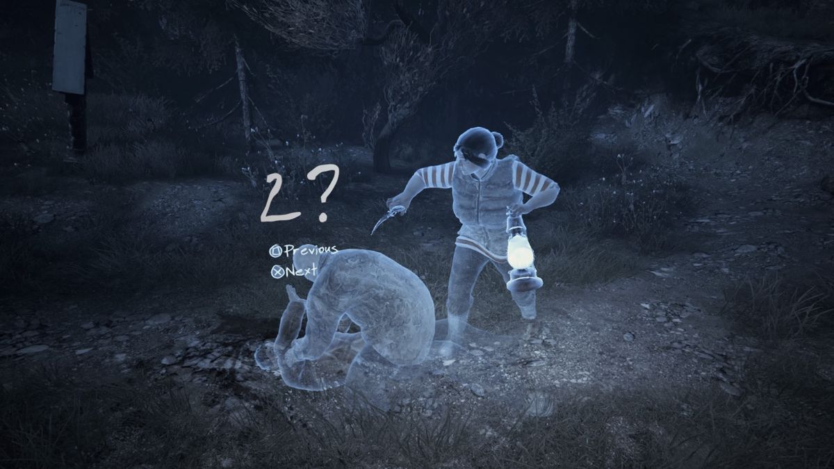 Screenshot of The Vanishing of Ethan Carter (PlayStation 4, 2014 ...