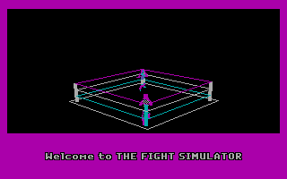 Screenshot of 4-D Boxing (DOS, 1991) - MobyGames