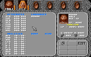 Screenshot of Amberstar (DOS, 1992) - MobyGames