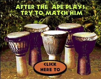 Screenshot of Bongo-Mania (Windows, 1997) - MobyGames