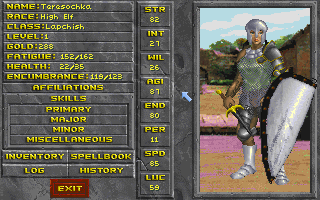 Screenshot of The Elder Scrolls: Chapter II - Daggerfall (DOS, 1996) - MobyGames