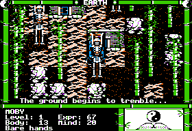Screenshot of Moebius: The Orb of Celestial Harmony (Apple II, 1985 ...
