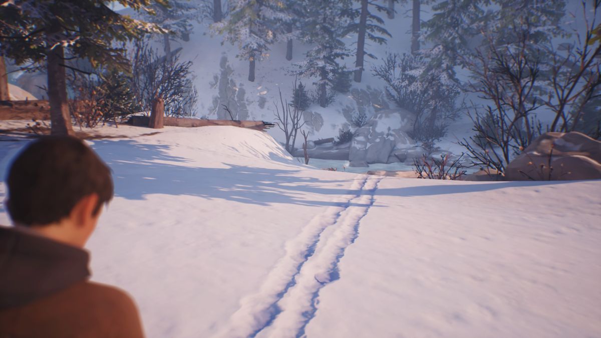 Screenshot of Life Is Strange 2: Episode 2 (PlayStation 4, 2019 ...