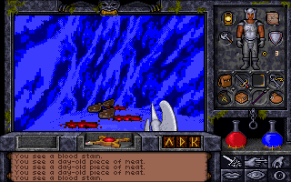 Screenshot of Ultima Underworld II: Labyrinth of Worlds (DOS, 1993 ...