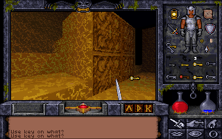 Screenshot of Ultima Underworld II: Labyrinth of Worlds (DOS, 1993 ...