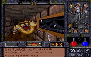Screenshot of Ultima Underworld II: Labyrinth of Worlds (DOS, 1993 ...